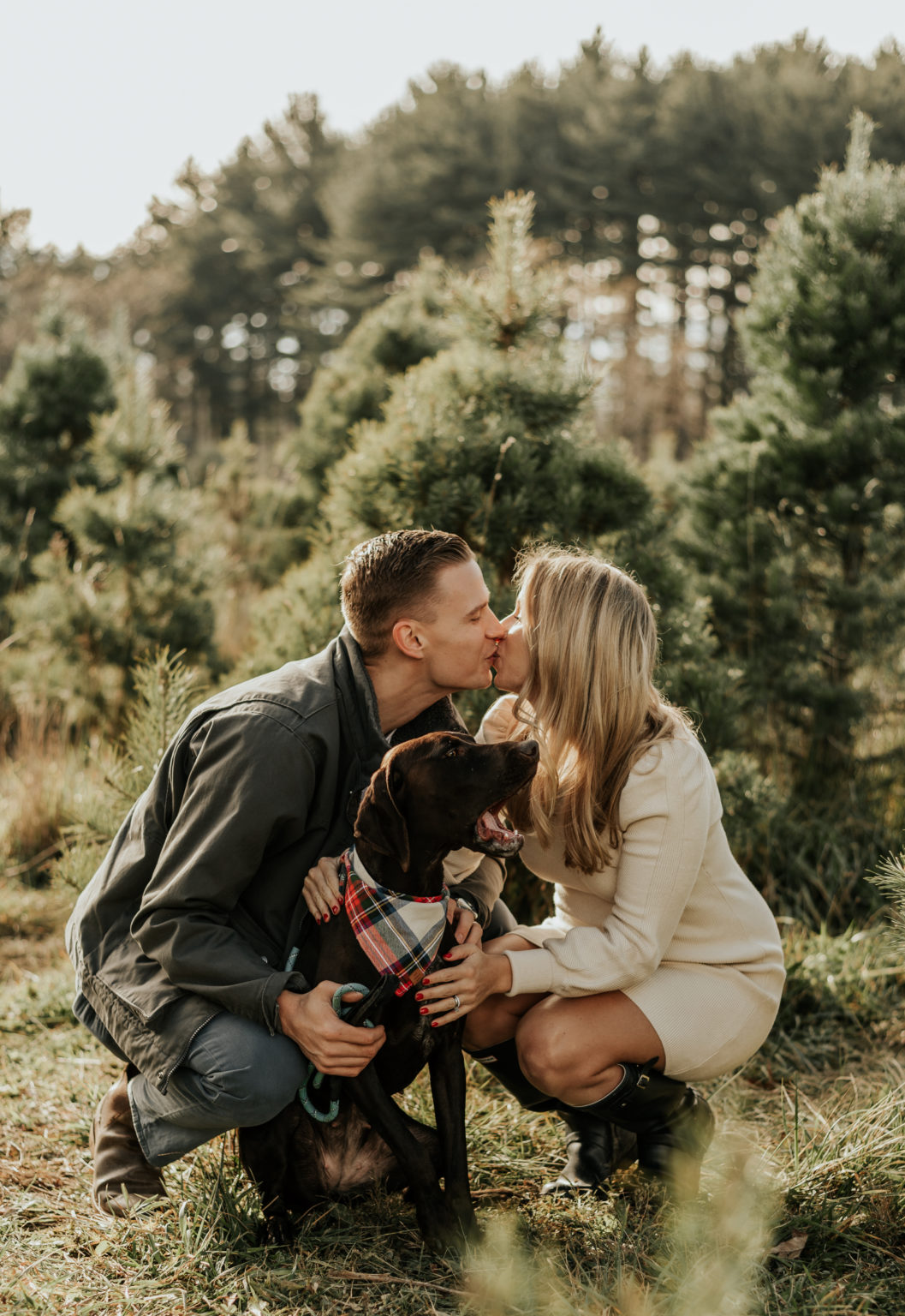 Maternity session at Medina Christmas Tree Farm